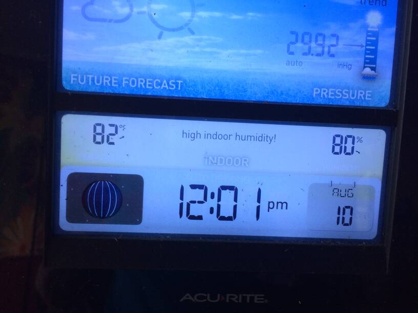 Message from Bizarro World: You're Not Crazy | Judy K. Walker