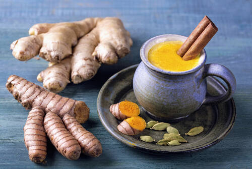 This is Paradise: Tropical Turmeric Tales | Judy K. Walker